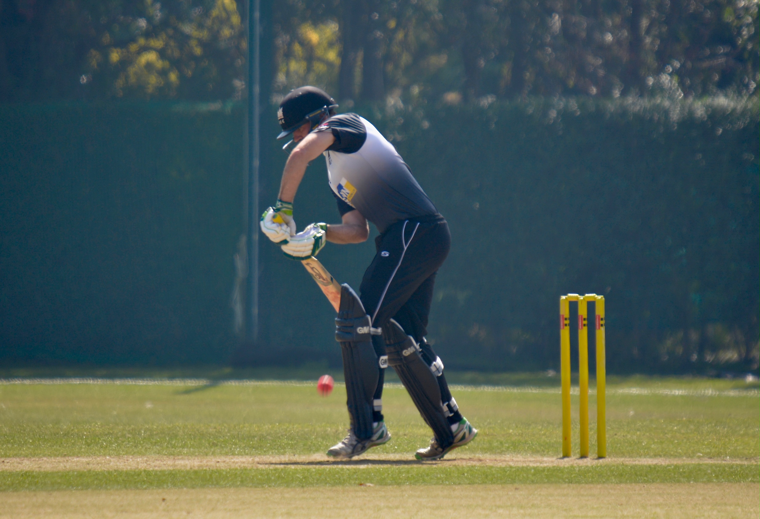 1st XI - Roffey Cricket Club